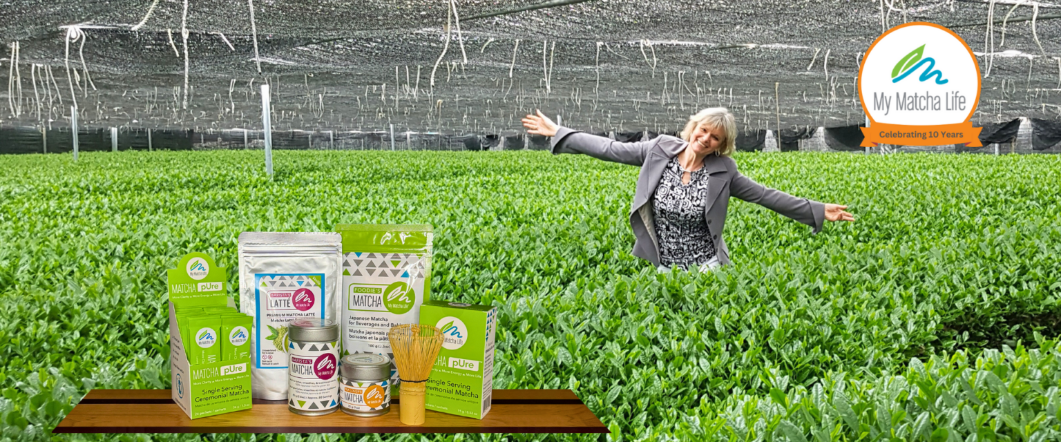 Buy Matcha Green Tea Online | My Matcha Life